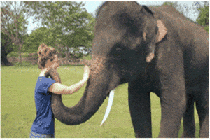 Byeeee GIFs - Find & Share on GIPHY