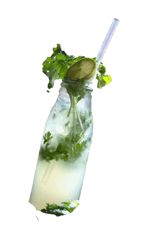 Linh Le GIFs - Find & Share on GIPHY