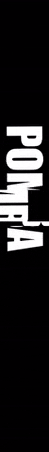 Pomba Lesa GIFs - Get the best GIF on GIPHY