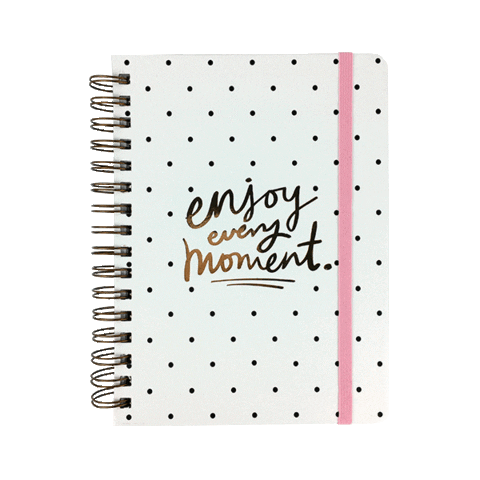 Agenda Planner Sticker by planos pontilhados for iOS & Android | GIPHY