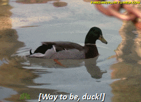 And I Like That To Be Acknowledged GIFs - Get the best GIF on GIPHY