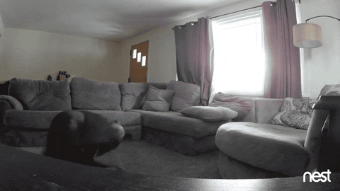 Dizzy Af GIFs - Get the best GIF on GIPHY