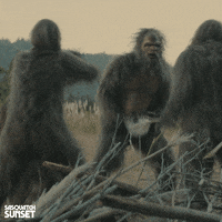 Sasquatch Sunset by Bleecker Street | GIPHY
