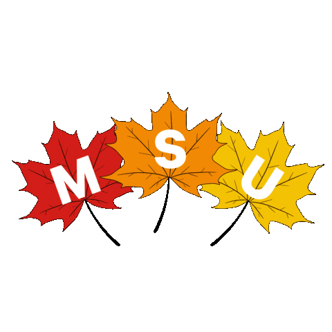 Missouri State University GIFs on GIPHY - Be Animated