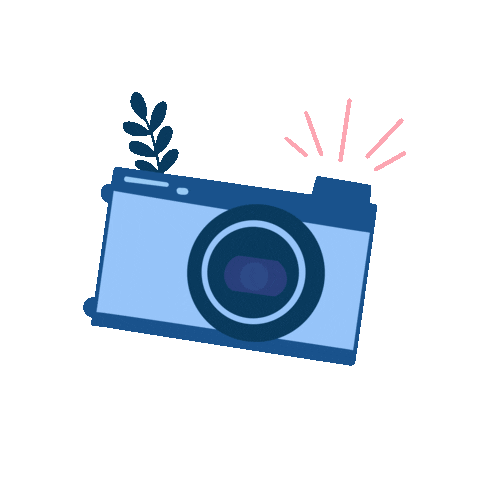 Camera Animated Clipart