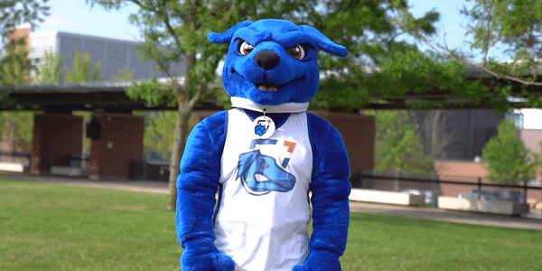 Mascot Hunter GIF by OntarioTechU - Find & Share on GIPHY