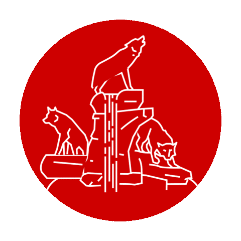 NC State University GIFs on GIPHY - Be Animated