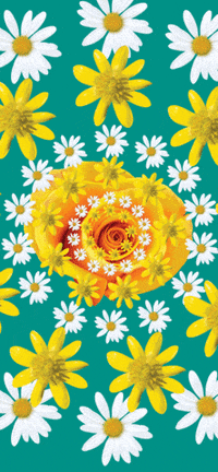 Moving Animations Of Roses