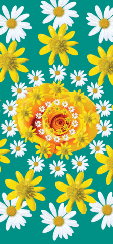 Moving-patterns GIFs - Get the best GIF on GIPHY