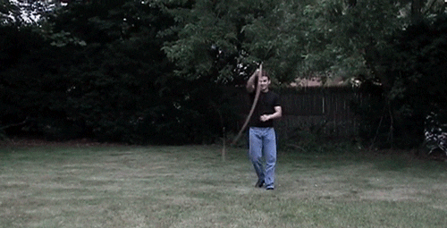 Cracking Whip Gif