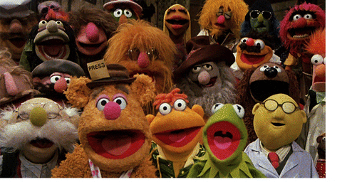 Muppet Wiki GIF - Find & Share on GIPHY