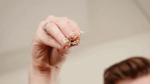 Sprinklebae GIFs - Get the best GIF on GIPHY