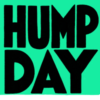 Happy Hump Day! GIFs - Find & Share on GIPHY