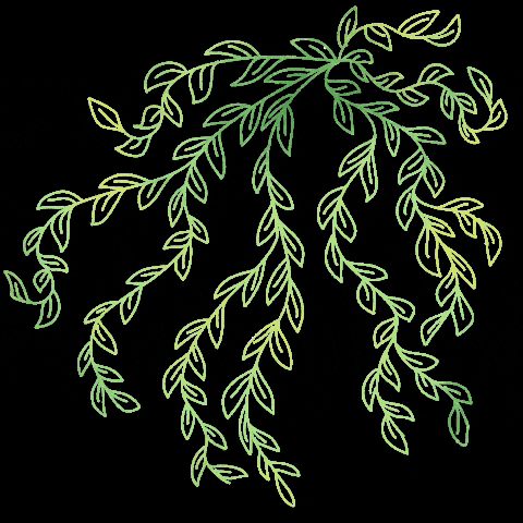 Hanging Plant GIFs - Get the best GIF on GIPHY