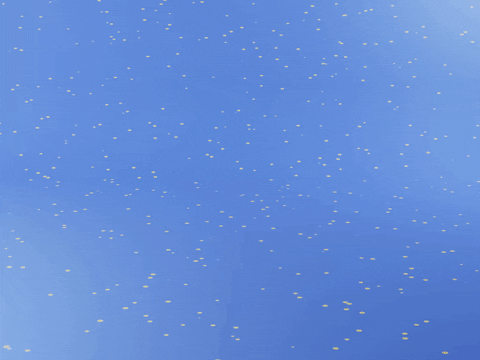 Straw-drop GIFs - Get the best GIF on GIPHY
