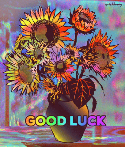 Good Luck Everybody Else GIFs - Find & Share on GIPHY