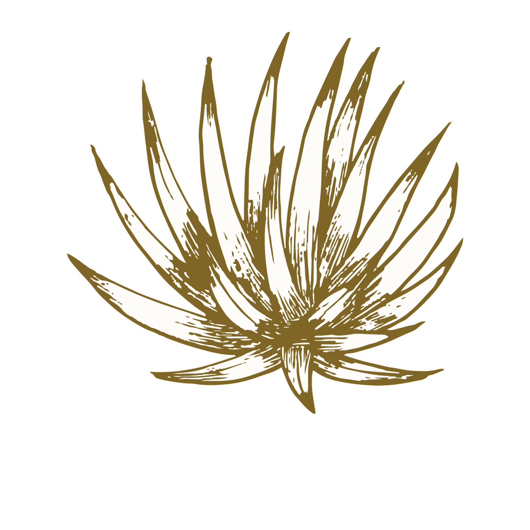 Santa Sabia GIFs on GIPHY - Be Animated