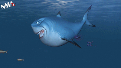 Shark Finding Nemo Gif