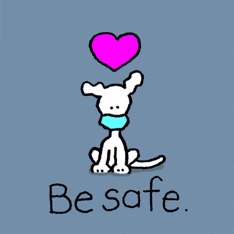 Stay Safe Take Care GIF by Chippy the Dog - Find & Share on GIPHY