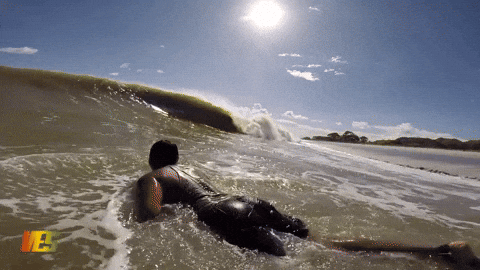 Beach Wave GIF by Bodyboarding Panama - Find & Share on GIPHY
