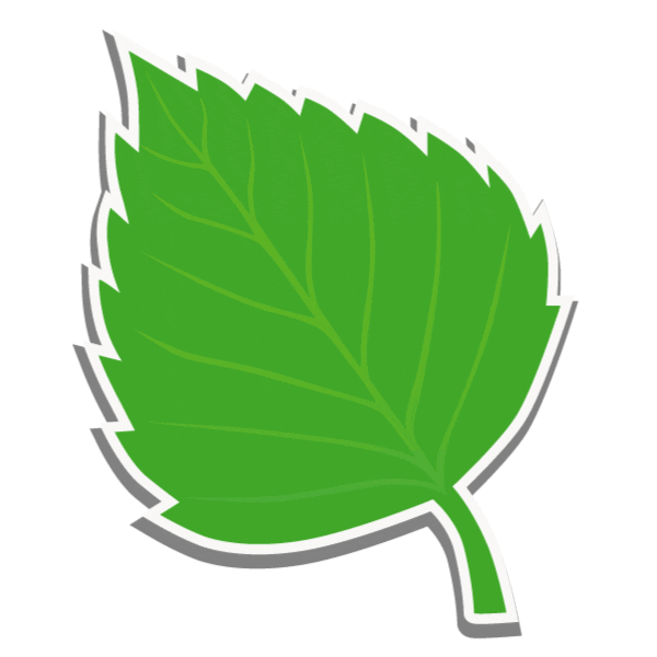 Summer Leaf Sticker by Saunapaiva for iOS & Android | GIPHY
