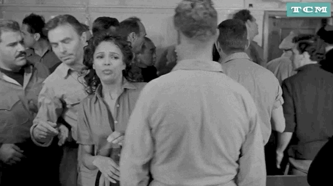 Classic Film 1950S GIF by Turner Classic Movies - Find & Share on GIPHY