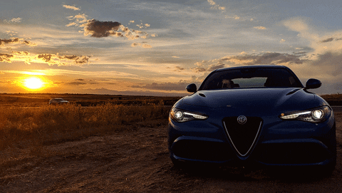 Alfaromeo Giulia GIFs - Get the best GIF on GIPHY