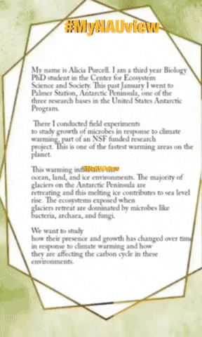 We-rise-experience GIFs - Get the best GIF on GIPHY