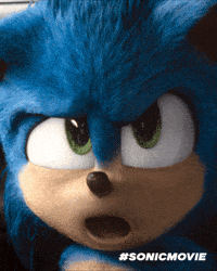 Fat Sonic The Hedgehog Gif