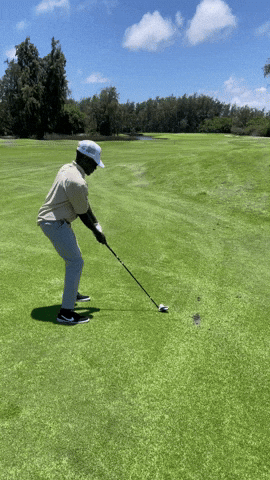 Tiger Woods Golf Swing Gif
