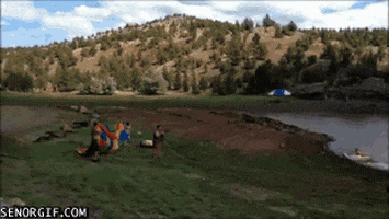 Fail GIF by Cheezburger - Find & Share on GIPHY