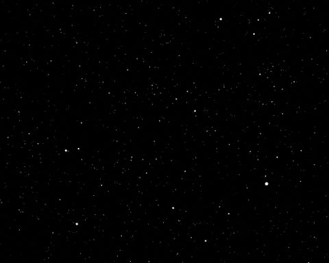 Modcheck GIFs - Get the best GIF on GIPHY