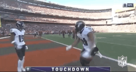 2019 Nfl Football GIF by NFL - Find & Share on GIPHY