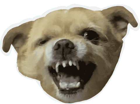 Doge Laugh