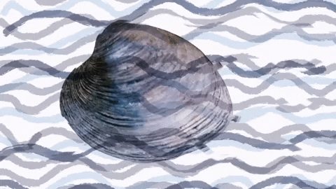 Wash Over You GIFs - Get the best GIF on GIPHY