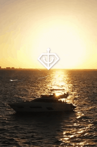 Yacht Vibes GIF - Find & Share on GIPHY