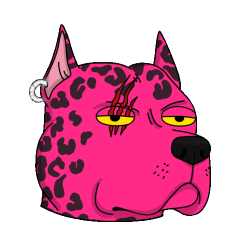 Gutter Cat Gang GIFs on GIPHY - Be Animated