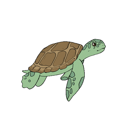Turtle GIFs - Get the best GIF on GIPHY