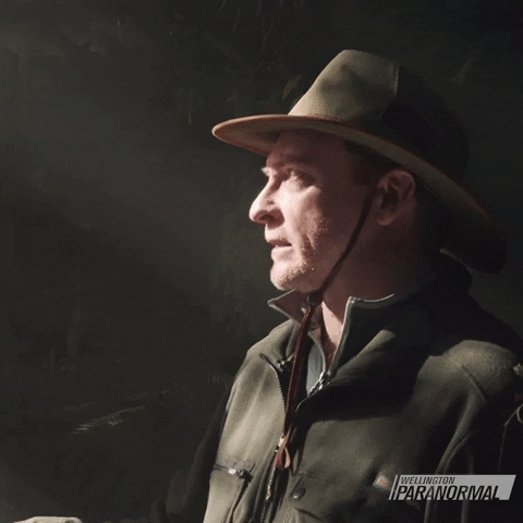 Werewolf Shadow GIFs - Get the best GIF on GIPHY