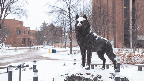 Shake Mtu GIF by Michigan Tech - Find & Share on GIPHY