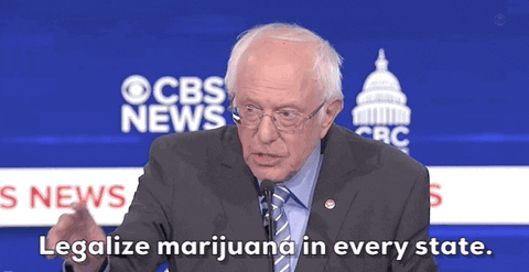 Legalize Marijuana In Every State GIFs - Get the best GIF on GIPHY