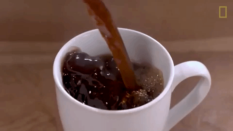 Coffee GIF by National Geographic Channel - Find & Share on GIPHY