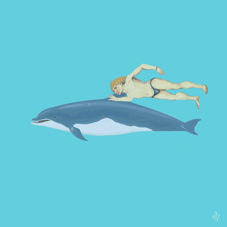 Dolphin Fun GIFs - Get the best GIF on GIPHY