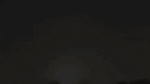 Morning Flight GIFs - Get the best GIF on GIPHY