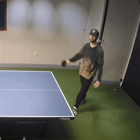 Fail Ping Pong GIF by Barstool Sports - Find & Share on GIPHY