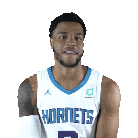Miles Bridges Sport Sticker by Charlotte Hornets for iOS & Android | GIPHY