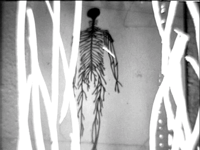 Hand Scratched GIFs - Get the best GIF on GIPHY