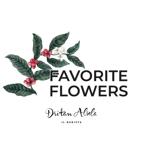 Coffee Grow GIFs - Get the best GIF on GIPHY