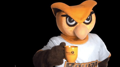 Ncaa Mascot GIF by Rowan University - Find & Share on GIPHY