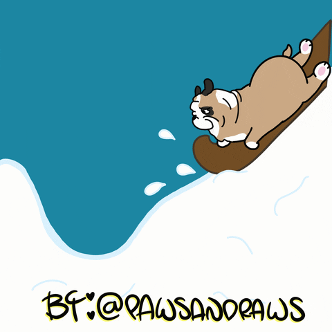 English Bulldog Dog GIF - Find & Share on GIPHY